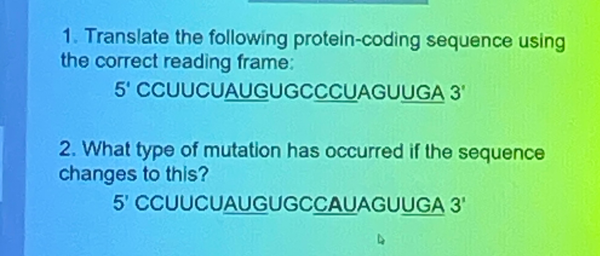 Solved Translate the following protein-coding sequence using | Chegg.com