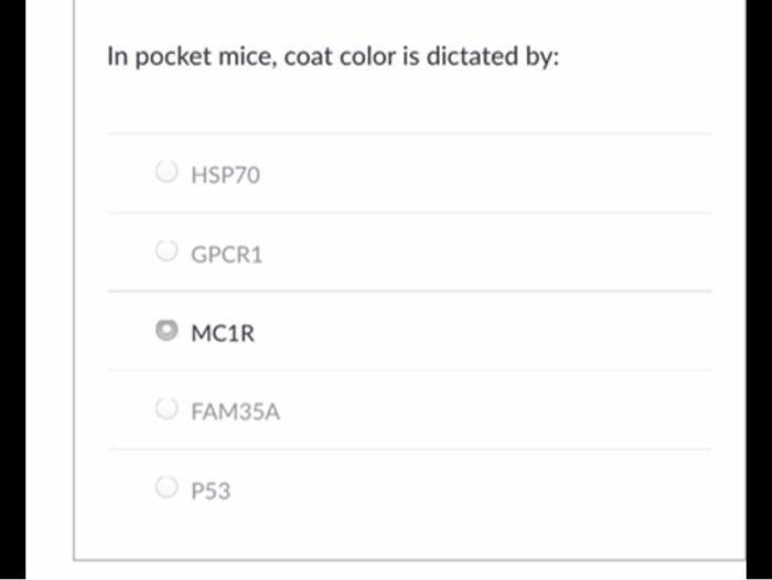 Solved In pocket mice, coat color is dictated by: HSP70 | Chegg.com