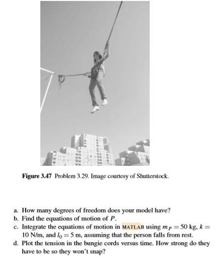 Solved Sketch a planar model of a two-cord bungie jump | Chegg.com