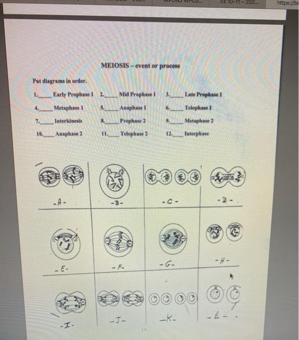 Solved https://bl MEIOSIS - event or process Put diagrams in | Chegg.com