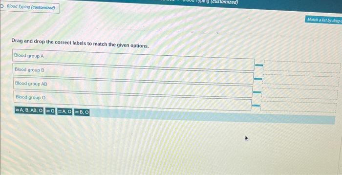Solved Drag and drop the correct labels to match the niven | Chegg.com