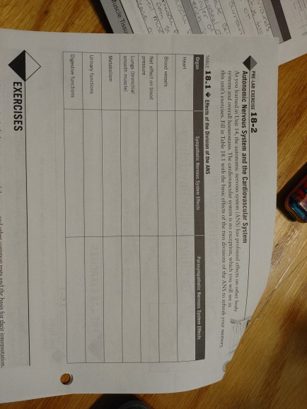 Solved PRE-LAB EXERCISE 18-2 Autonomic Nervous System and | Chegg.com