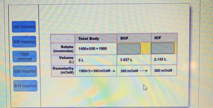 Solved 300 mosmol Total Body ECF ICF 800 mosmol 1400+500 - | Chegg.com