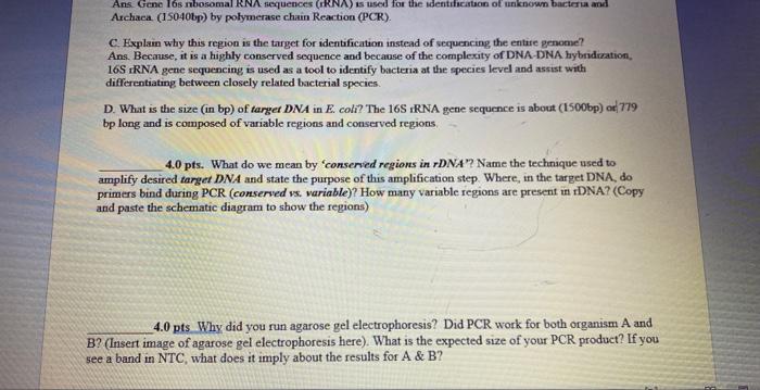 Solved Ans. Gene 16s nbosomal RNA sequences (rRNA) is used | Chegg.com