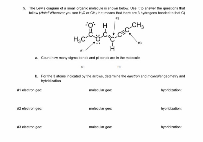 Solved 5. The Lewis diagram of a small organic molecule is | Chegg.com