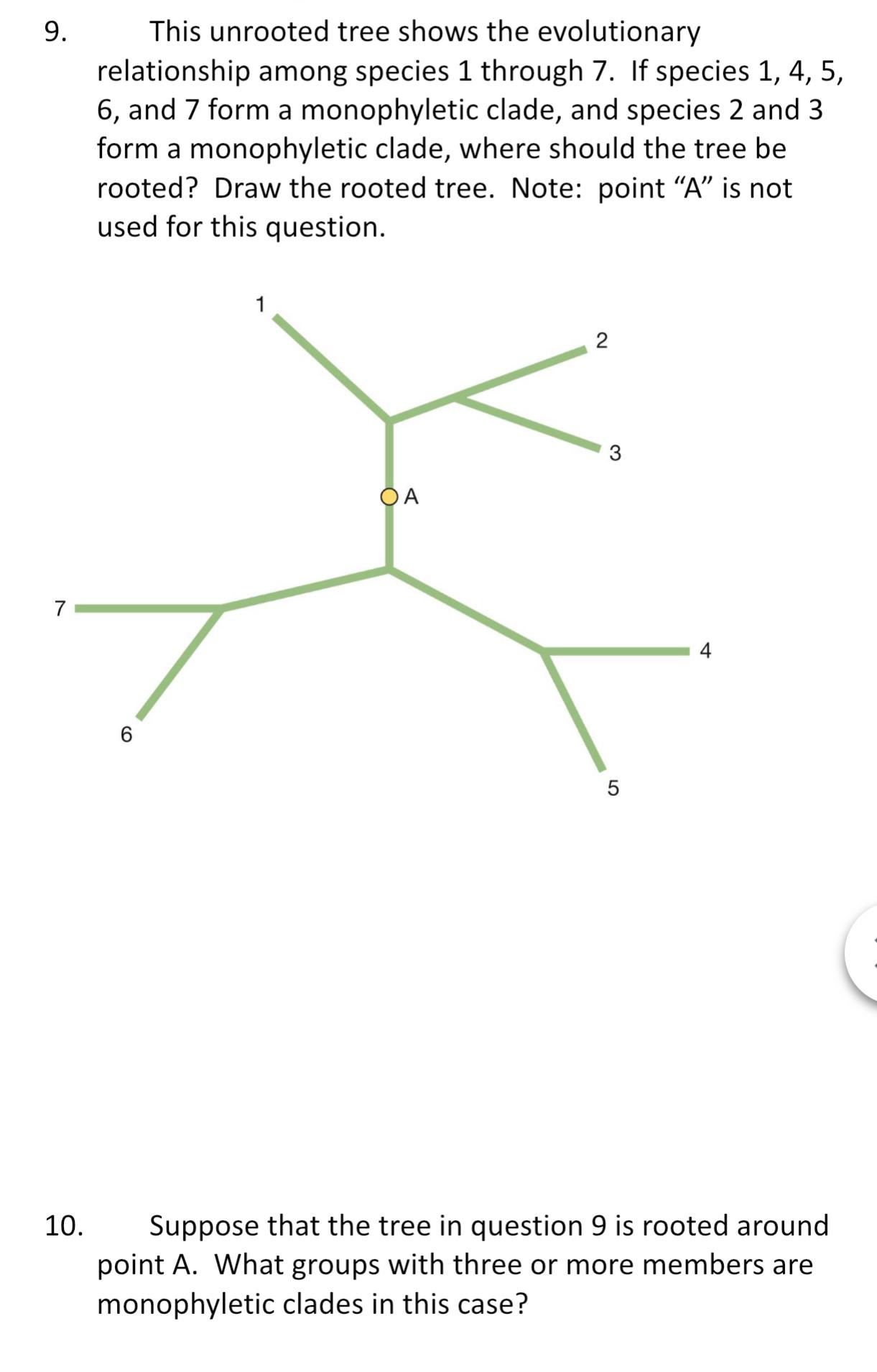Solved This unrooted tree shows the evolutionary | Chegg.com