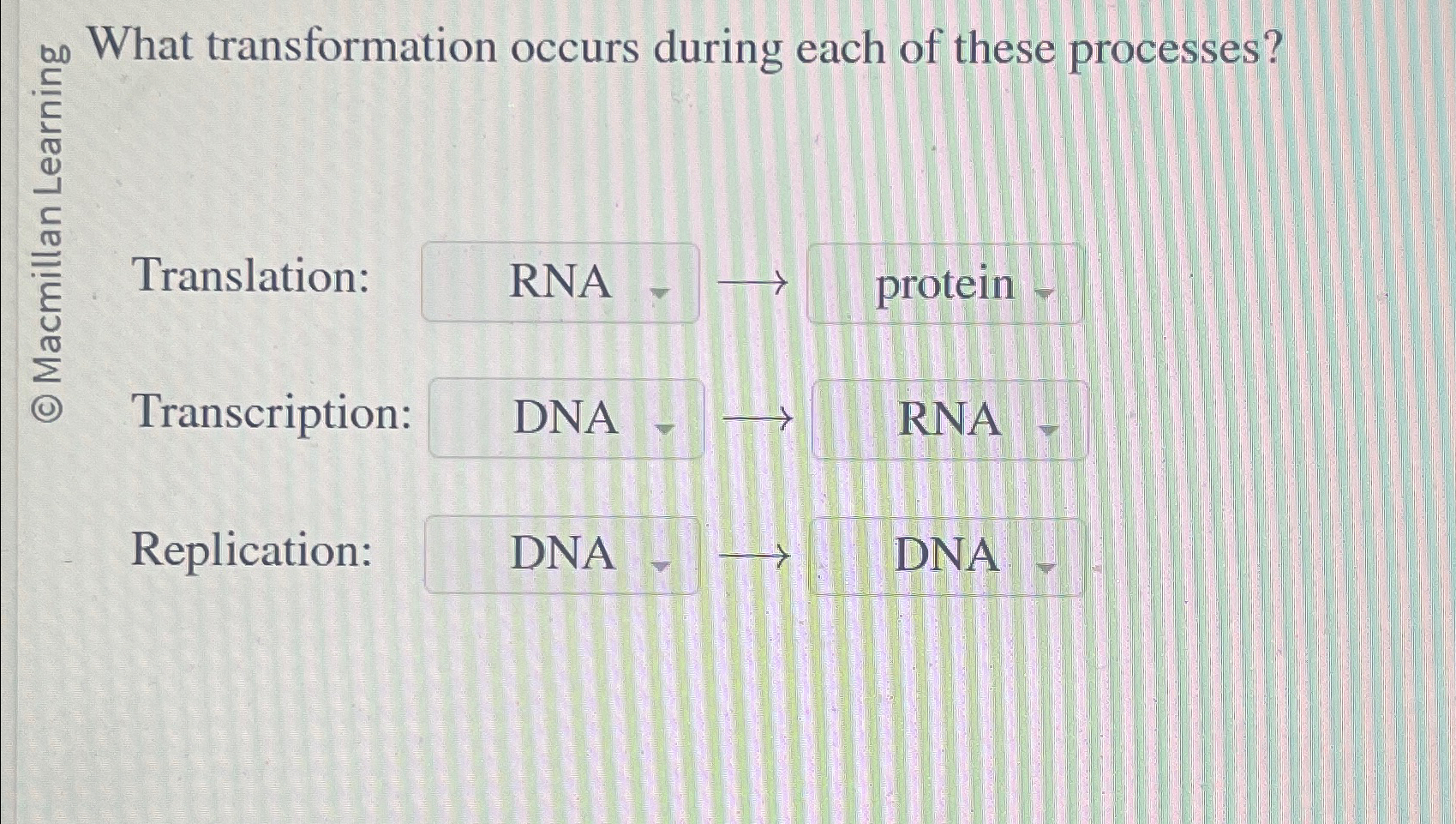 Solved wo What transformation occurs during each of these | Chegg.com