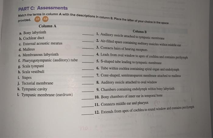 Solved PART C: Assessments Match the terms in column A with | Chegg.com