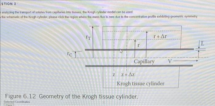 Solved STION 2 analyzing the transport of solutes from | Chegg.com