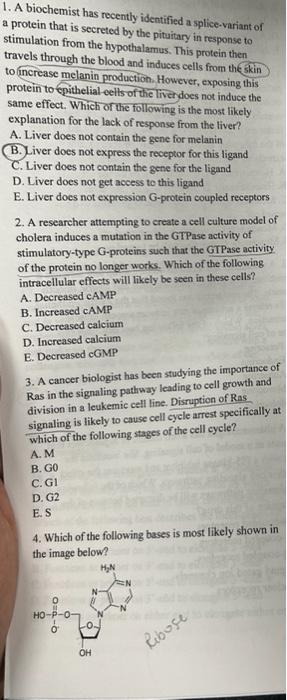 Solved 1. A biochemist has recently identified a | Chegg.com