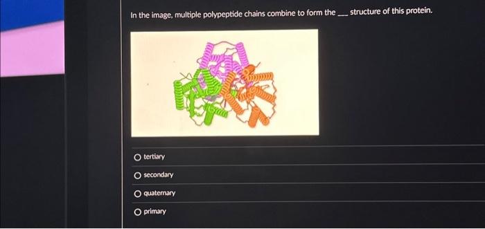 Solved In the image, multiple polypeptide chains combine to | Chegg.com