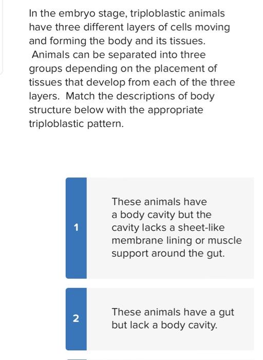 Solved In the embryo stage, triploblastic animals have three | Chegg.com