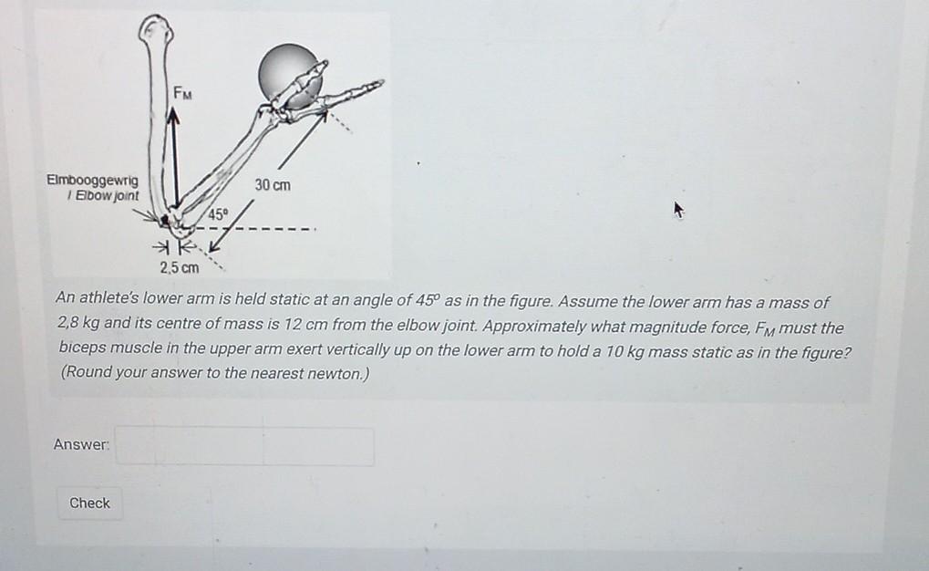 Solved An athlete's lower arm is held static at an angle of | Chegg.com