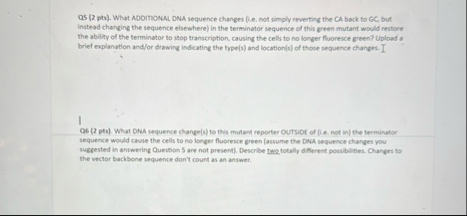 Solved Q5 (2 ﻿pts). ﻿What ADOMONAL DNA sequence changes | Chegg.com