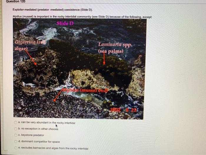 Solved Question 125 Exploiter-mediated (predator -mediated) | Chegg.com