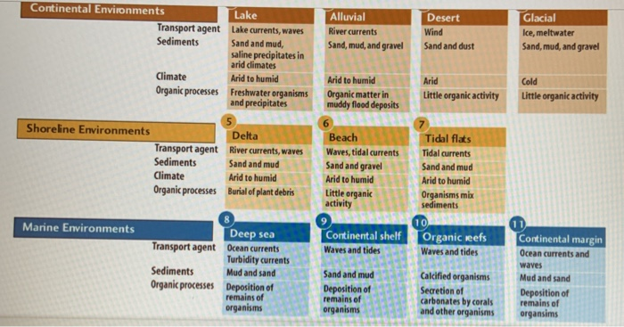 Solved Match each depositional environment with the type of | Chegg.com