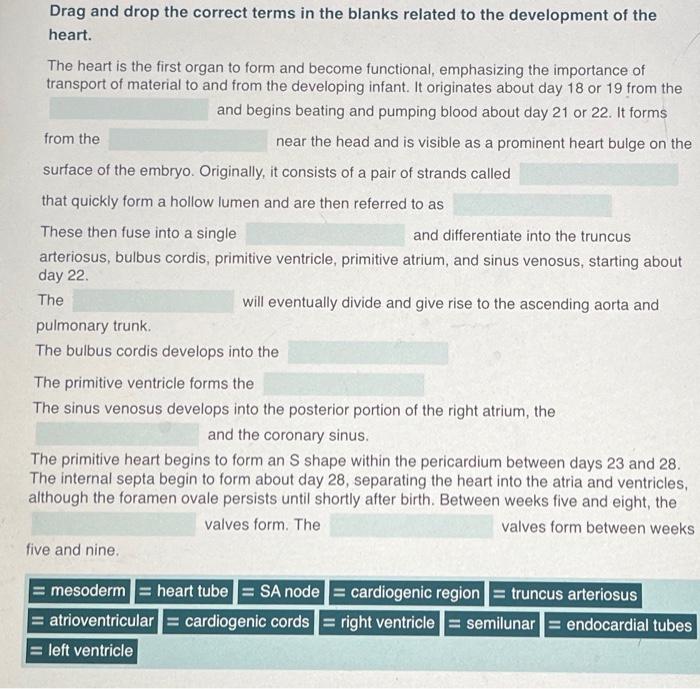 Solved The heart is the first organ to form and become | Chegg.com