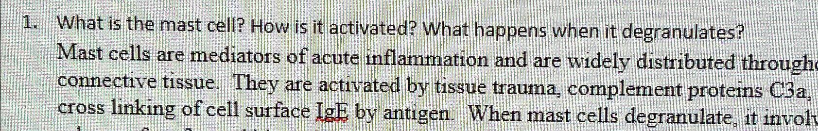 Solved What is the mast cell? How is it activated? What | Chegg.com