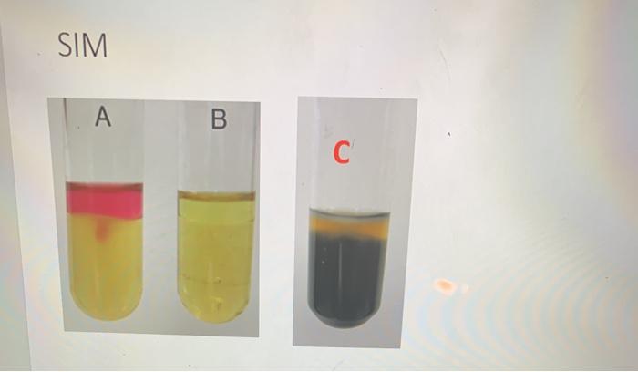 Solved C Unknown Results Exercise 31 SIM (hydrogen sulfide | Chegg.com