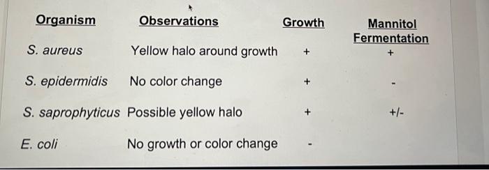 Solved Using only the info below, is my bacteria Staph. | Chegg.com