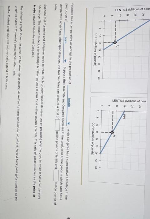 Solved When a country has a comparative advantage in the | Chegg.com