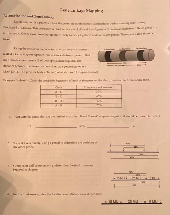 Solved Gene Linkage Mapping Recombination and Gene Linkage | Chegg.com
