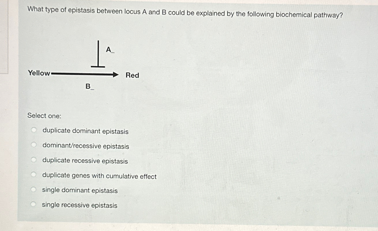 Solved What type of epistasis between locus A and B could be | Chegg.com