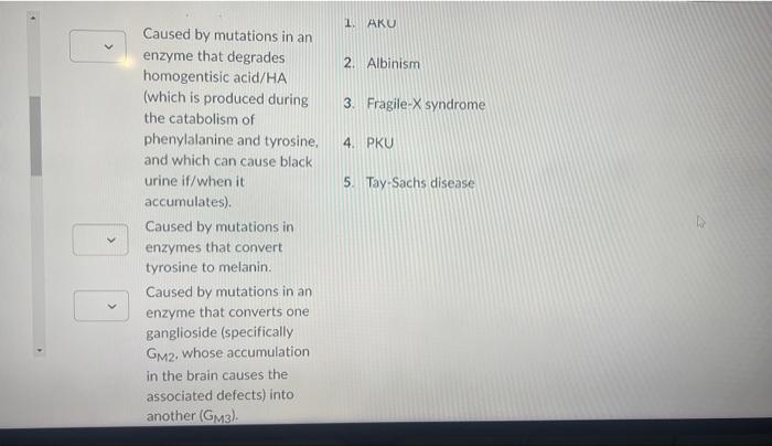 Solved Question 27 (5 points) Match each description to the | Chegg.com