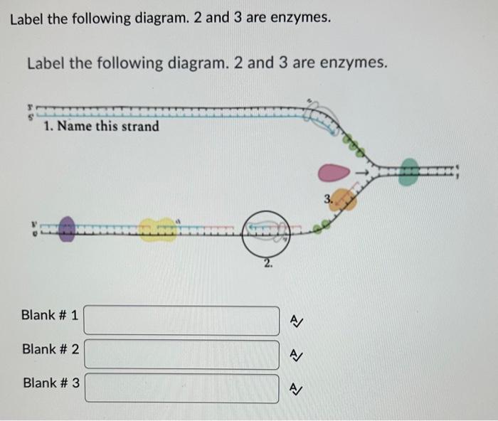 Solved Consider the following diagram: a) Provide an example | Chegg.com