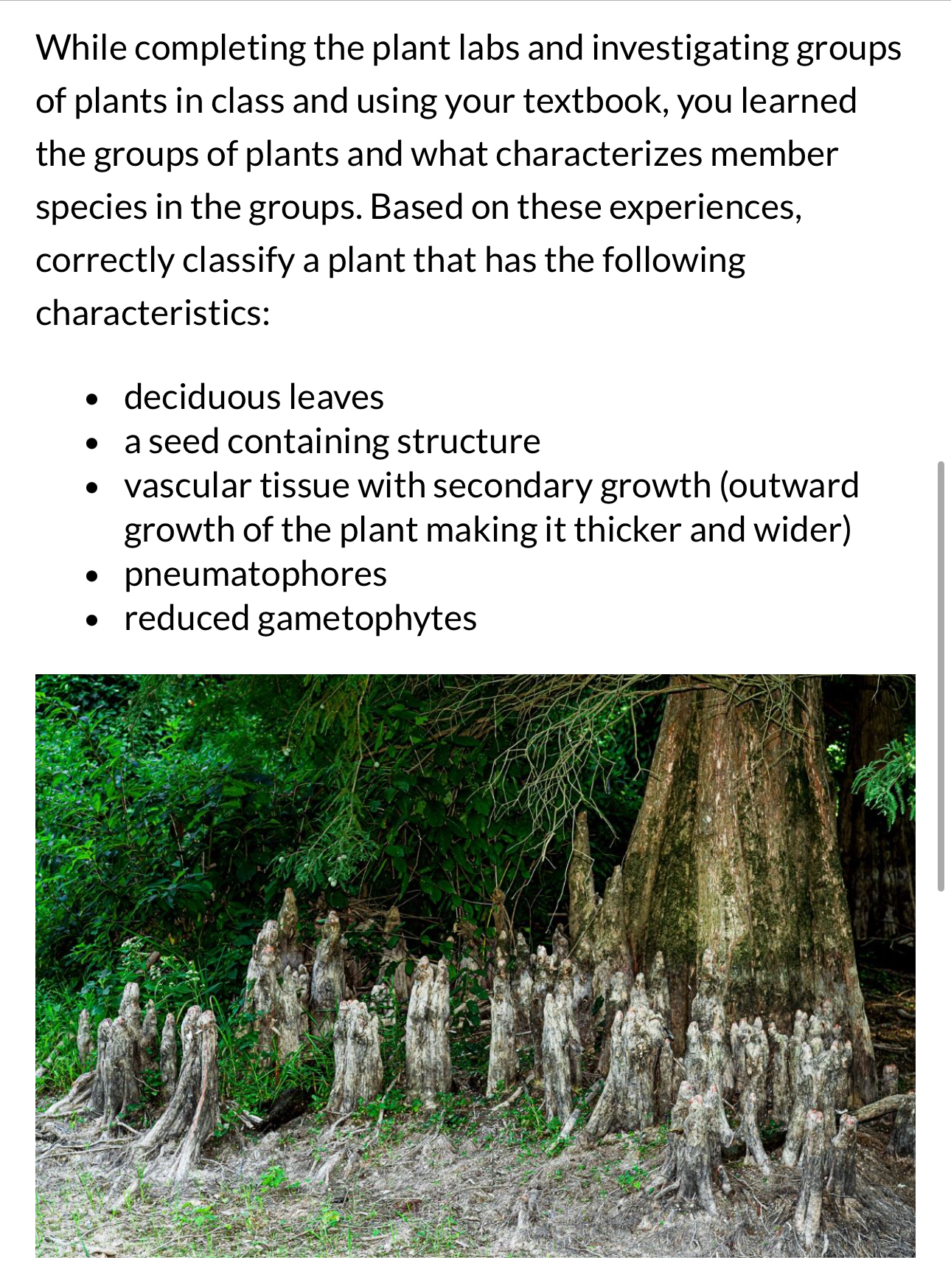 Solved While completing the plant labs and investigating | Chegg.com