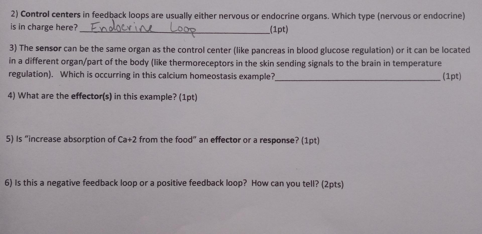 2) Control centers in feedback loops are usually | Chegg.com