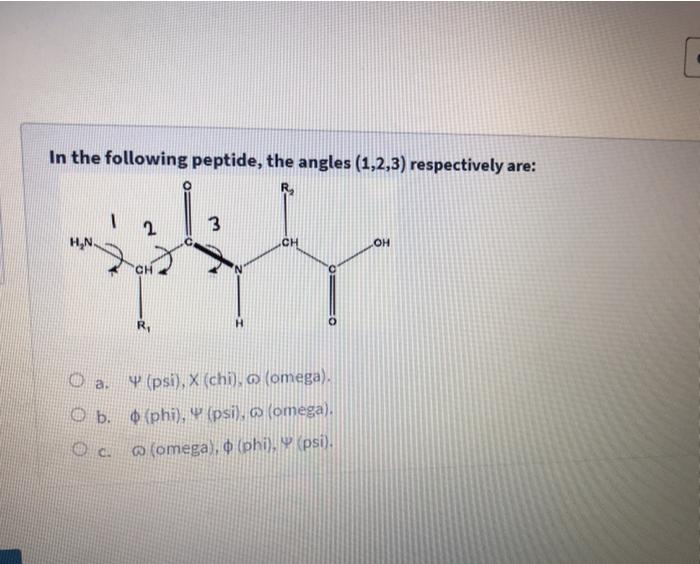 Solved In the following peptide, the angles (1,2,3) | Chegg.com