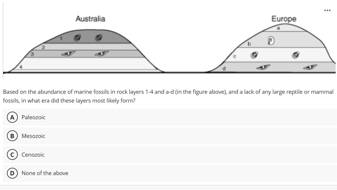 Solved Based on the abundance of marine fossils in rock | Chegg.com