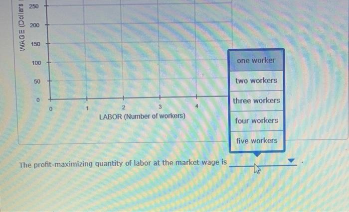 Solved 5. Graphing demand for labor and computing the | Chegg.com