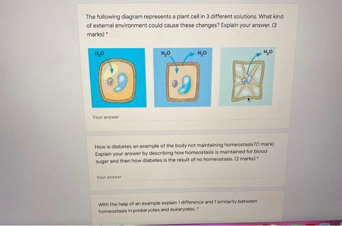 Solved The following diagram represents a plant cell in 3 | Chegg.com