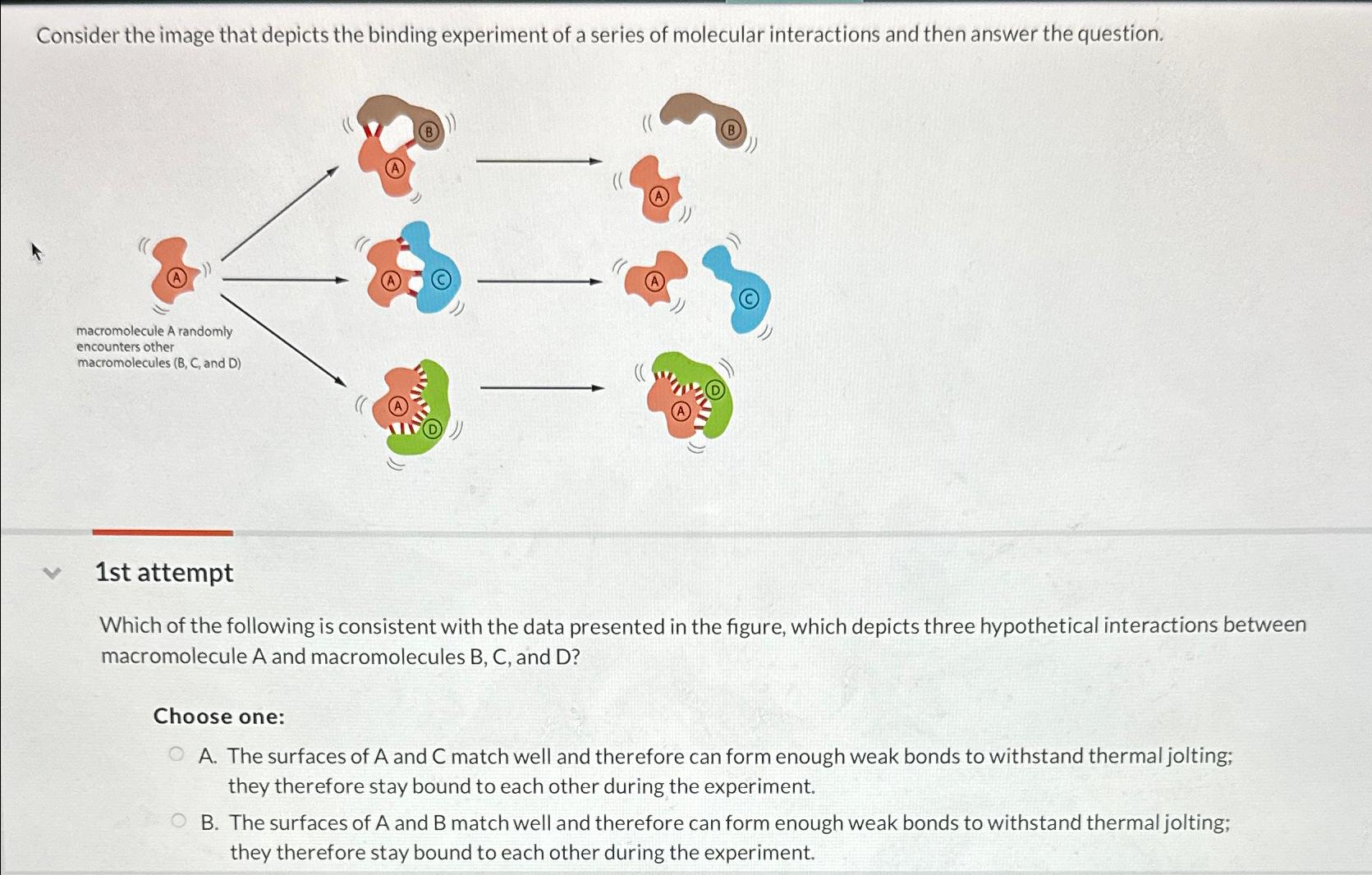Solved Consider the image that depicts the binding | Chegg.com