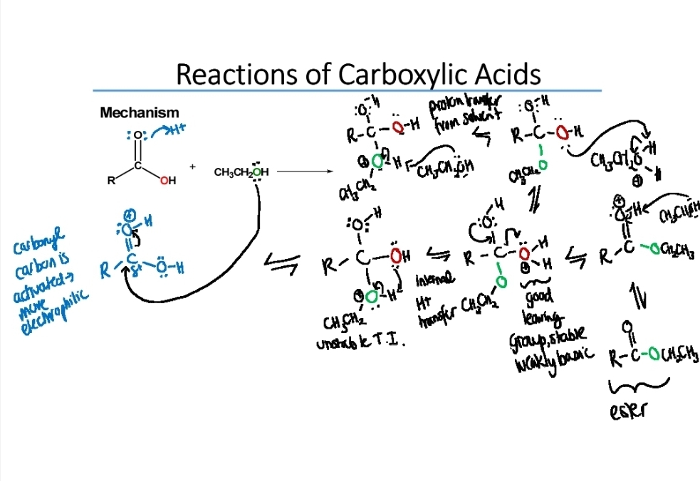 Solved Reactions of Carboxylic Acids. Can you draw and show | Chegg.com