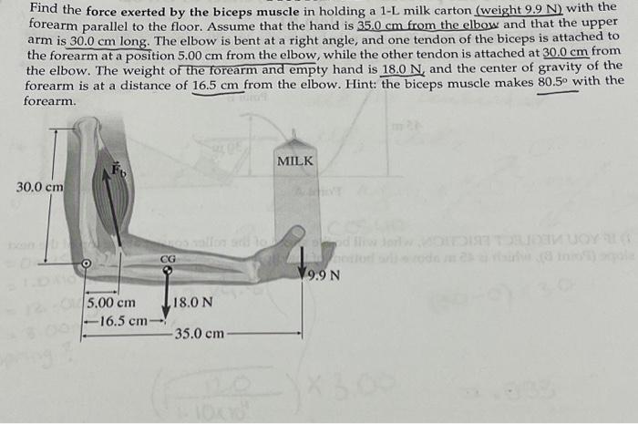Solved Find the force exerted by the biceps muscle in | Chegg.com