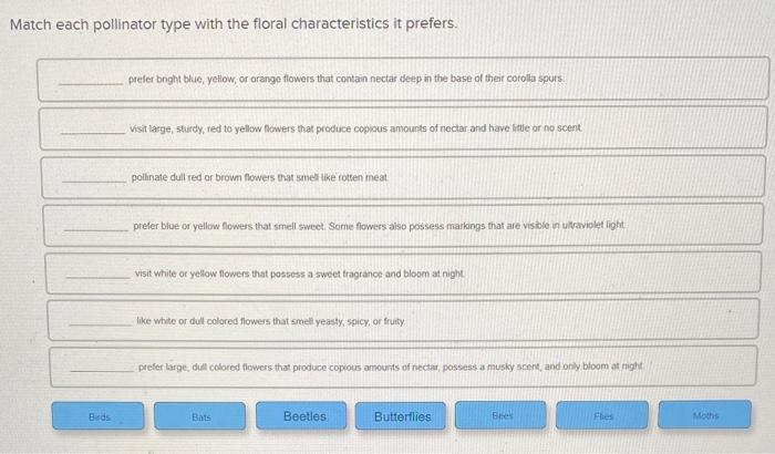Solved Match each pollinator type with the floral | Chegg.com