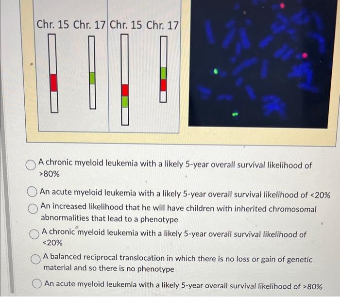 Solved Based on the FISH results shown, the most likely | Chegg.com