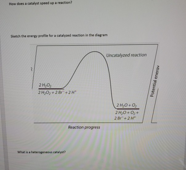 Solved How does a catalyst speed up a reaction? Sketch the | Chegg.com