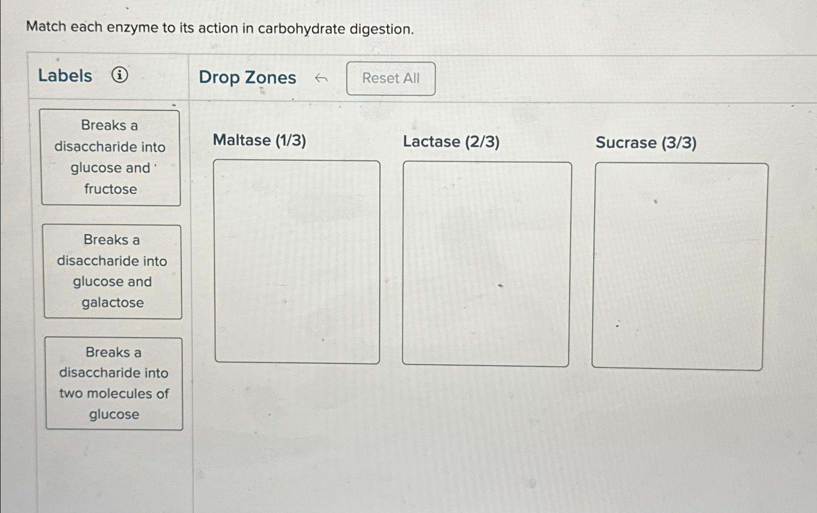 Solved Match each enzyme to its action in carbohydrate | Chegg.com
