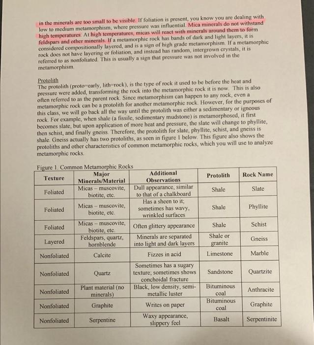 Solved Metamorphic Rocks For this lab, you will be making | Chegg.com