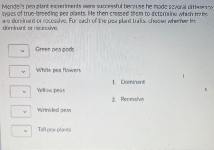 Solved Mendel's pea plant experiments were successful | Chegg.com
