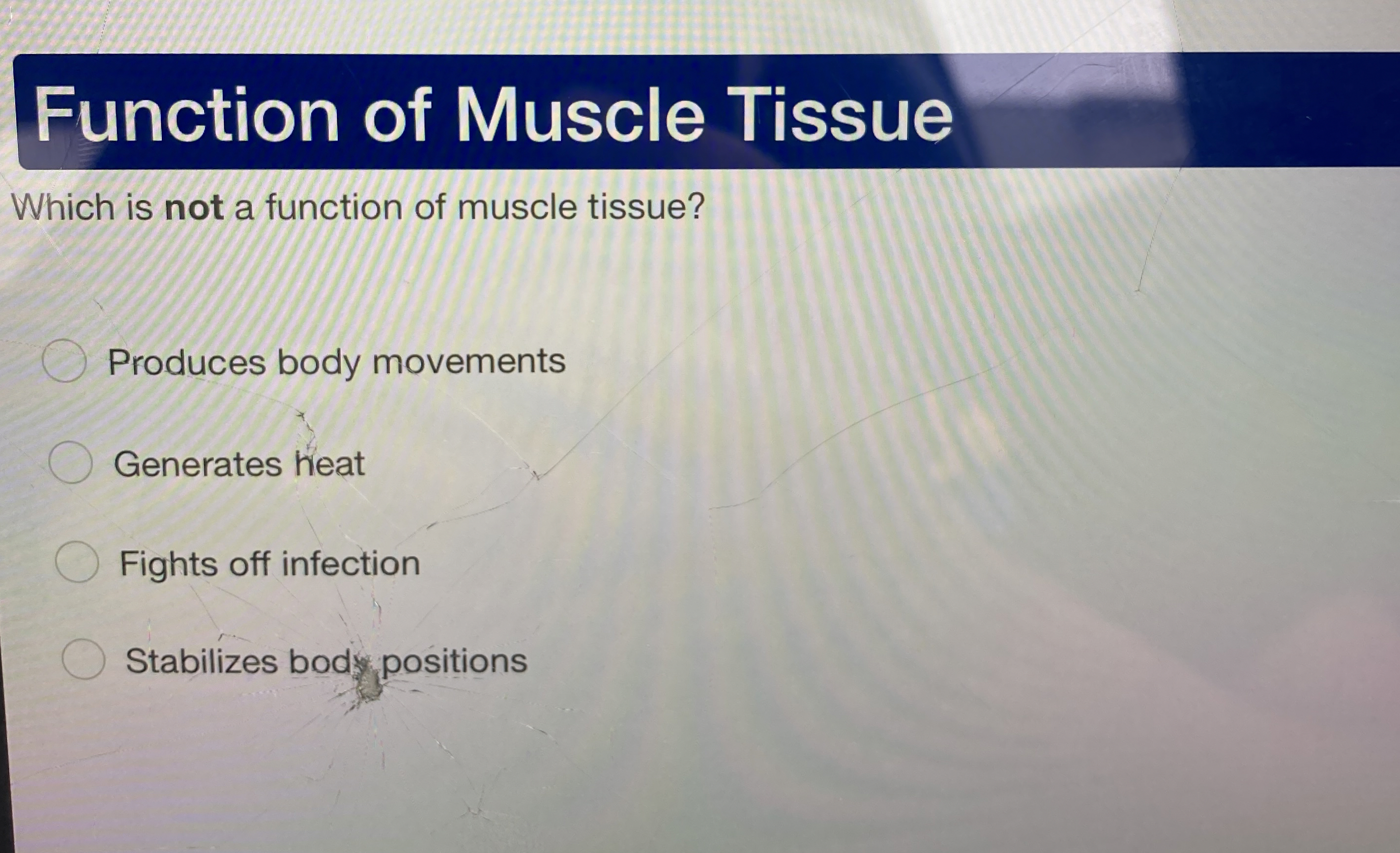 Solved Function of Muscle TissueWhich is not a function of | Chegg.com