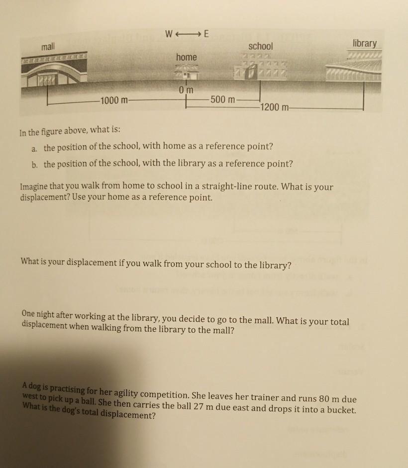 Solved 2. Position and displacement Scalar: Vector: position | Chegg.com