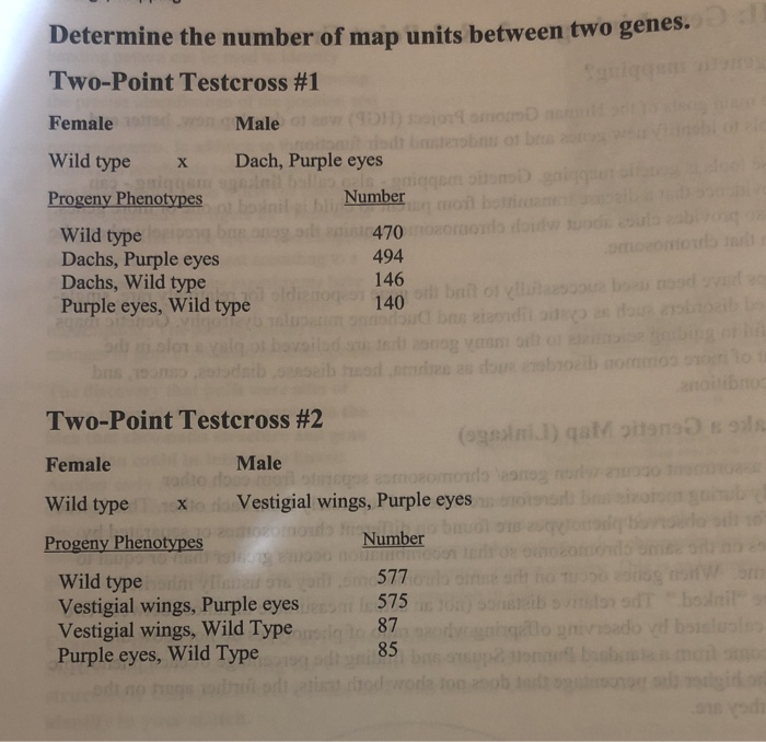 Solved Determine the number of map units between two genes. | Chegg.com