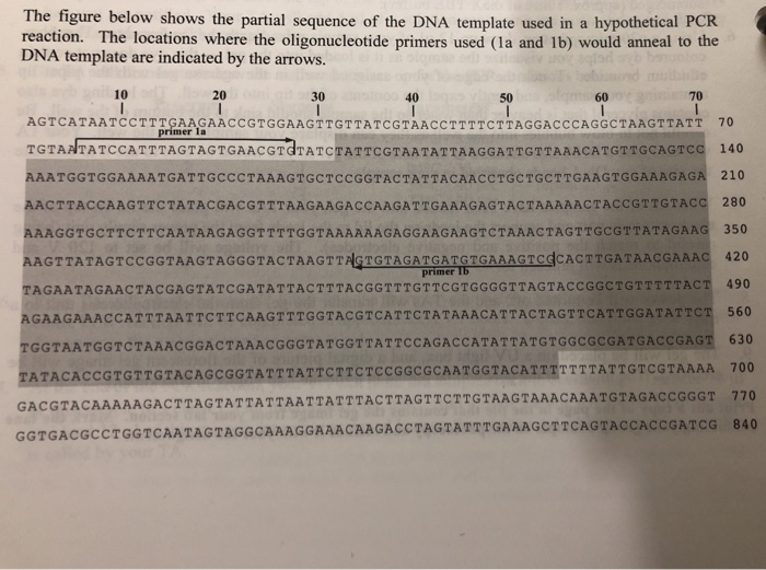 Solved The figure below shows the partial sequence of the | Chegg.com