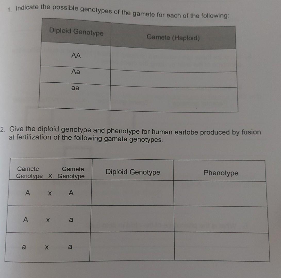 Solved •Indicate the possible genotype of the gamete for | Chegg.com