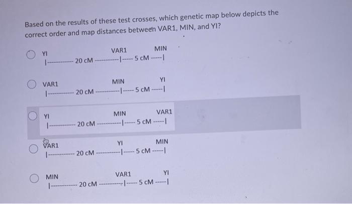 Solved You're in the process of mapping three linked genes | Chegg.com